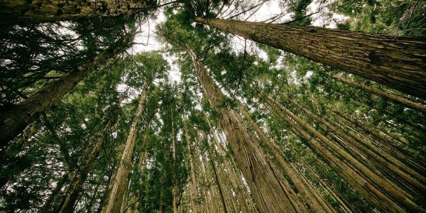 Senegal: new ecological challenges to be taken up!